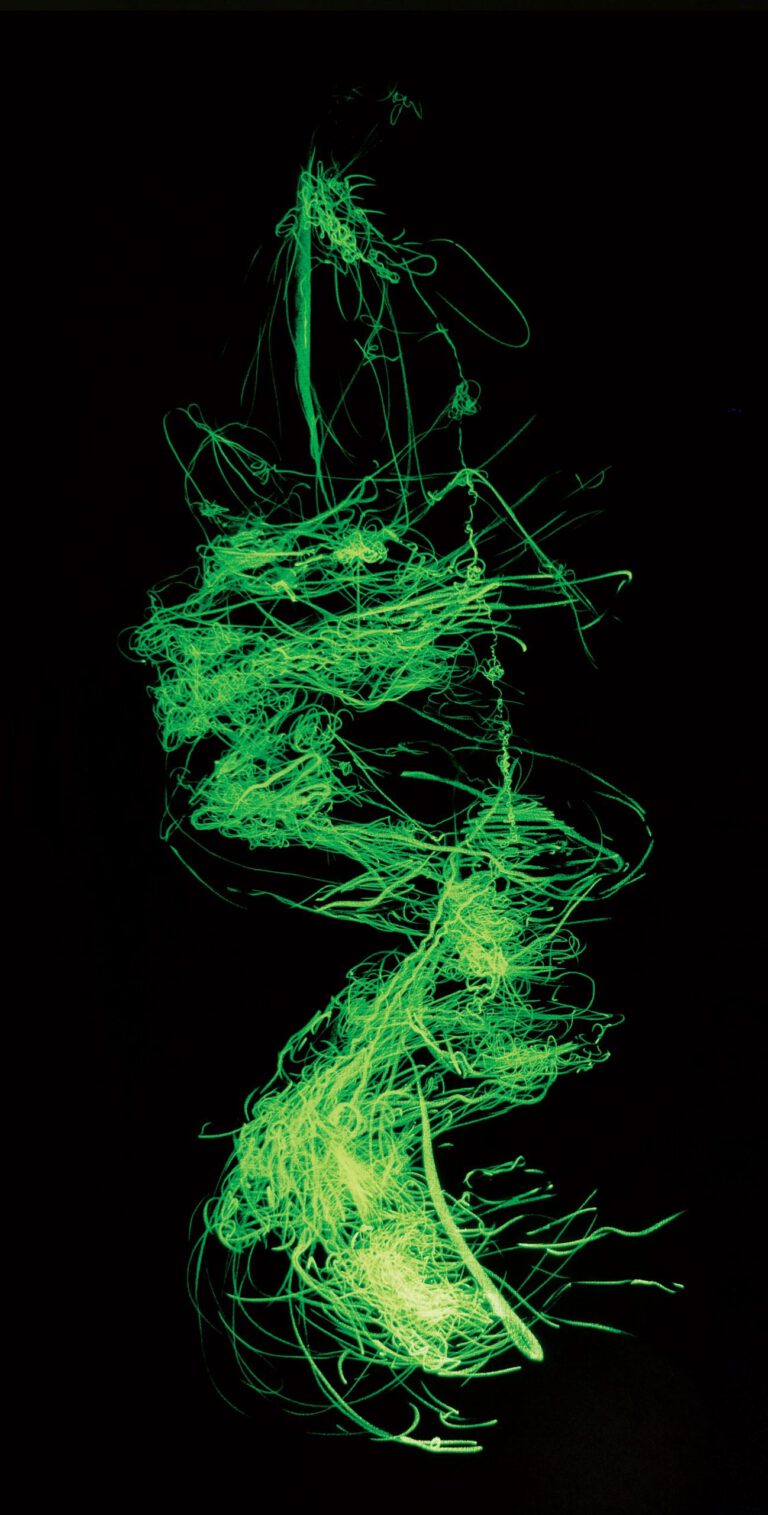 VisualNoise – Agata Schubert